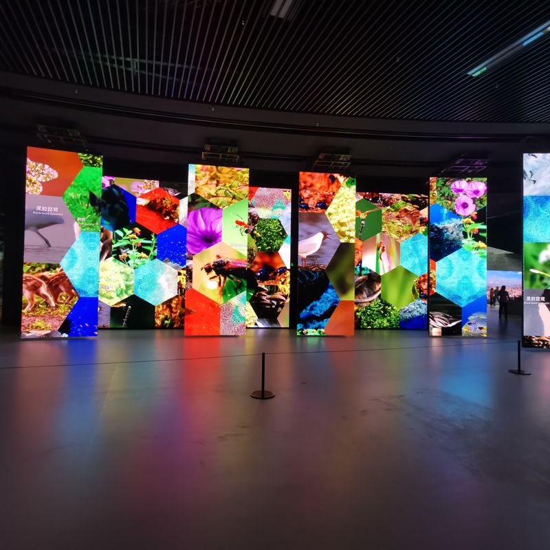 Stage Led Display P2.976 P3.91 P4.81 500*1000mm Curve Cabinet Indoor ...